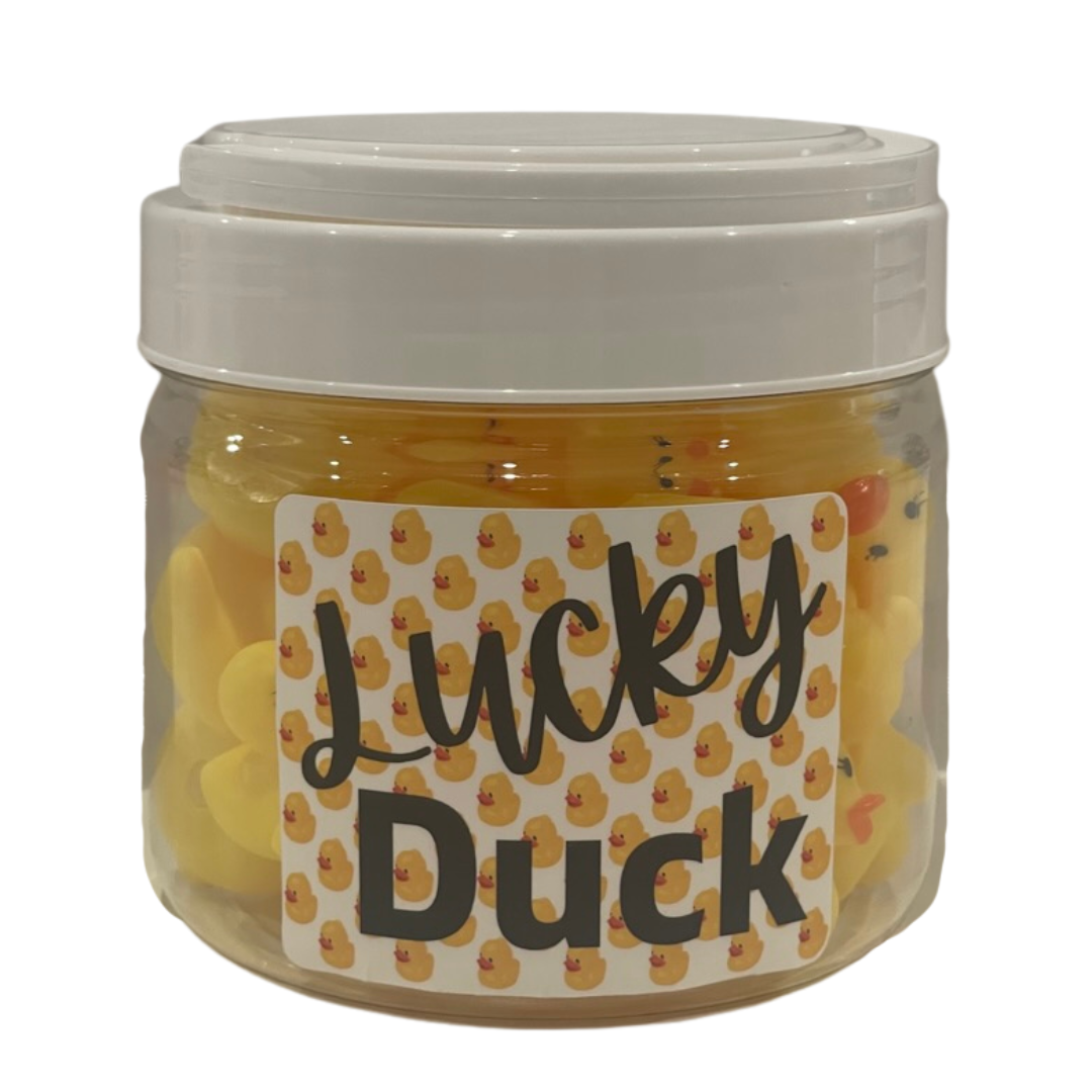 32 Lucky Ducks - class set of incentive ducks in a home