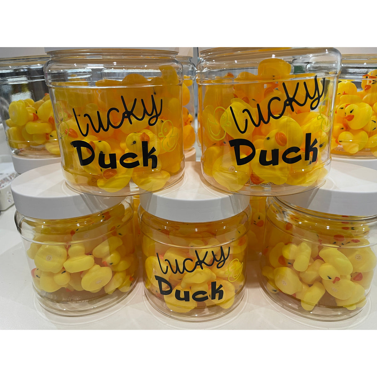 32 Lucky Ducks - class set of incentive ducks in a home